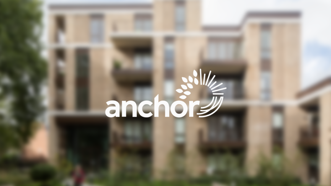 Dice Consulting — Anchor Framework